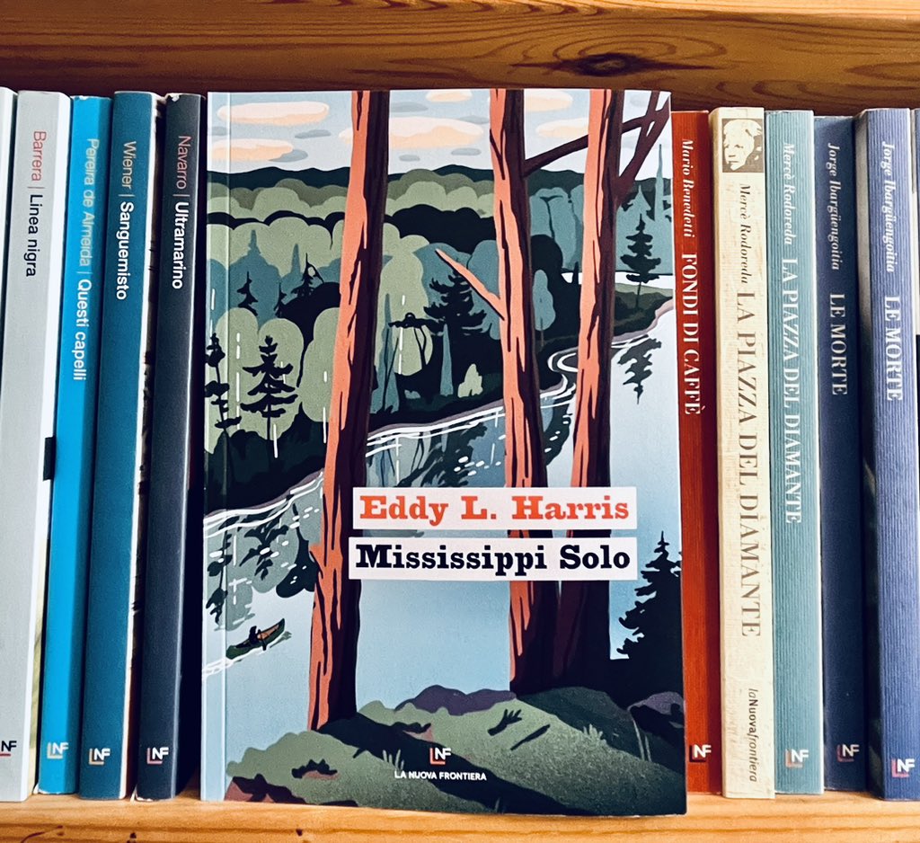 MISSISSIPPI SOLO – Eddy L. Harris | conversazioni americane
