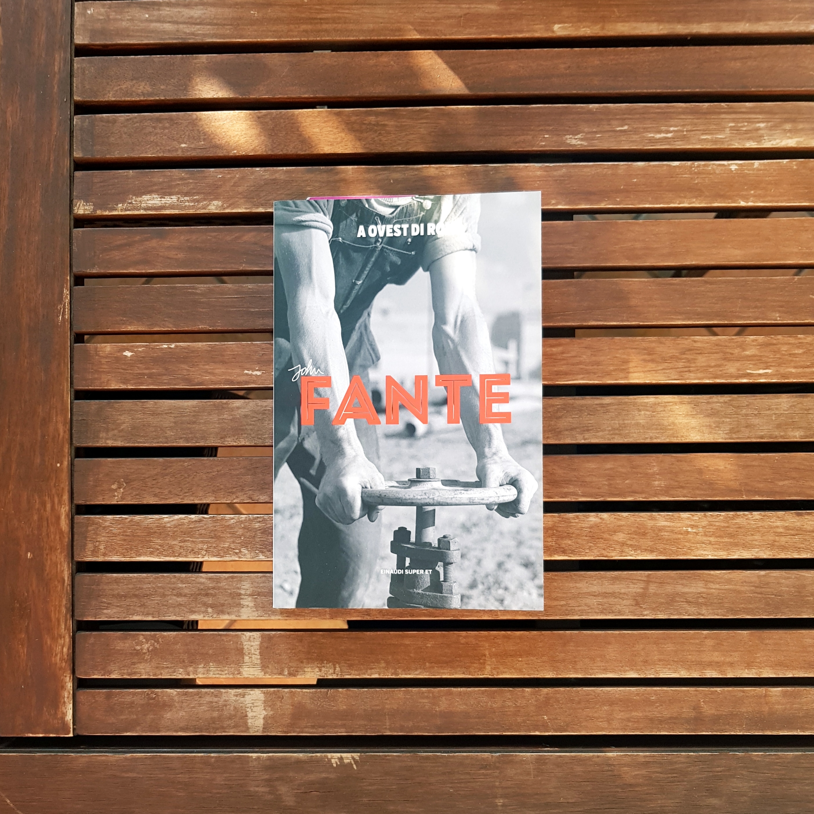 A OVEST DI ROMA (IL MIO CANE STUPIDO) – John Fante | conversazioni ...